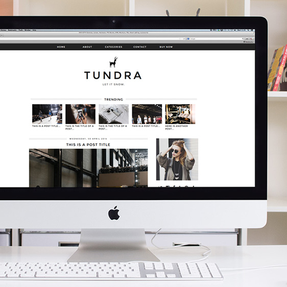 Tundra: Minimal & Monochrome WordPress Theme by pipdig